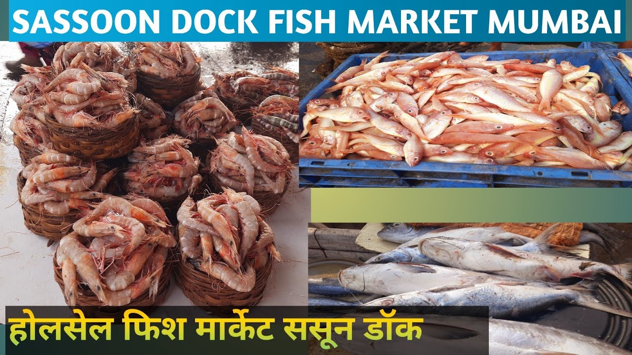 Sassoon Dock Fish Market l ससून डॉक फिश मार्केट मुंबई l Sasoon Dock ...
