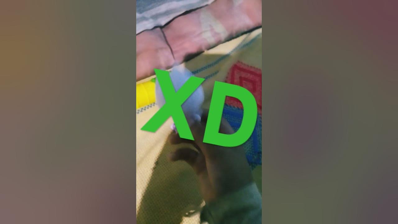 El gato XD XD XD - YouTube