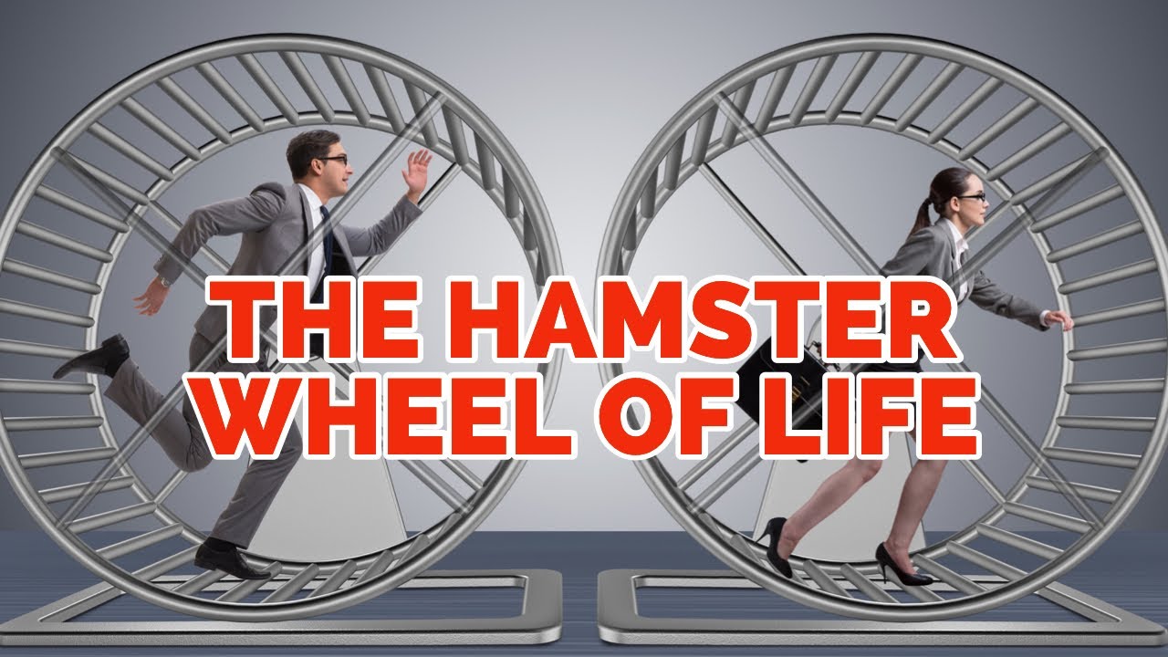 The Hamster Wheel of Life - YouTube