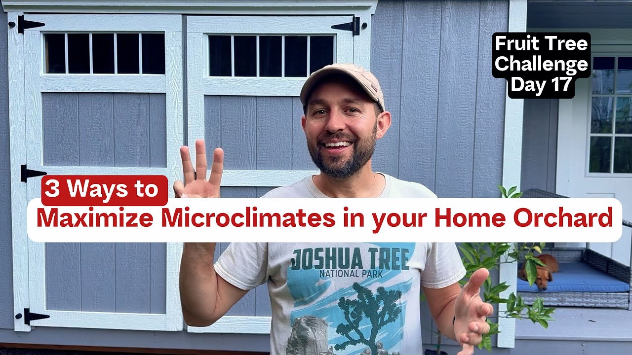 3 Way to Maximize Microclimates in your Home Orchard - Fruit Tree ...