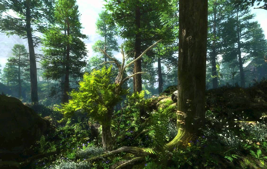render forest - YouTube