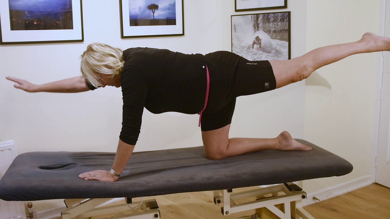 All Fours Arm And Leg Stretch Youtube