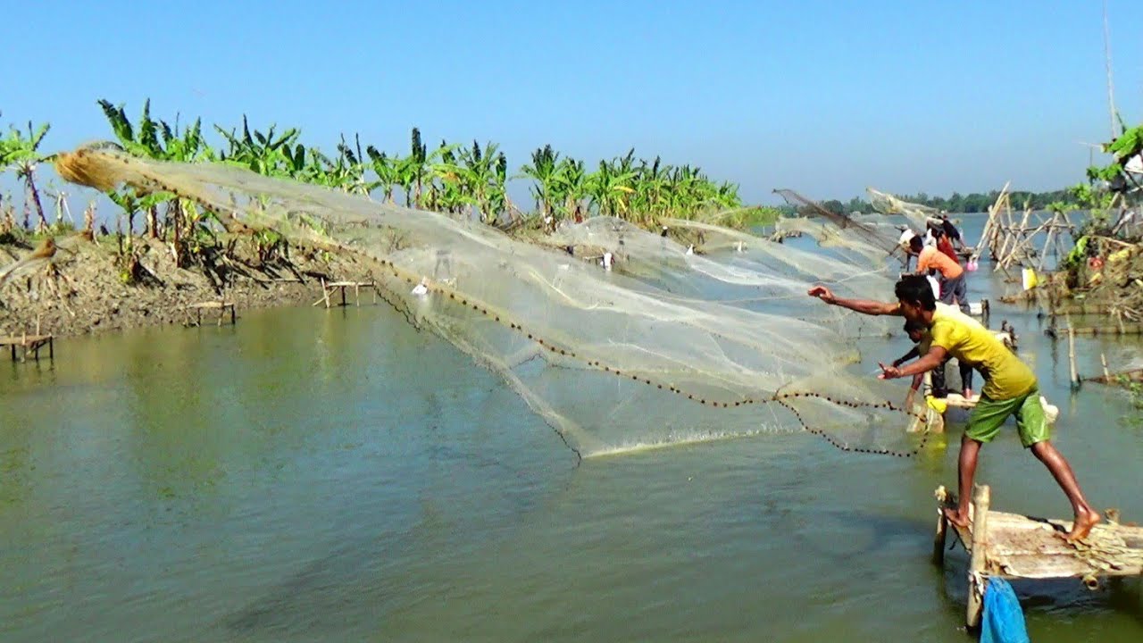Amazing Net Fishing in River - YouTube