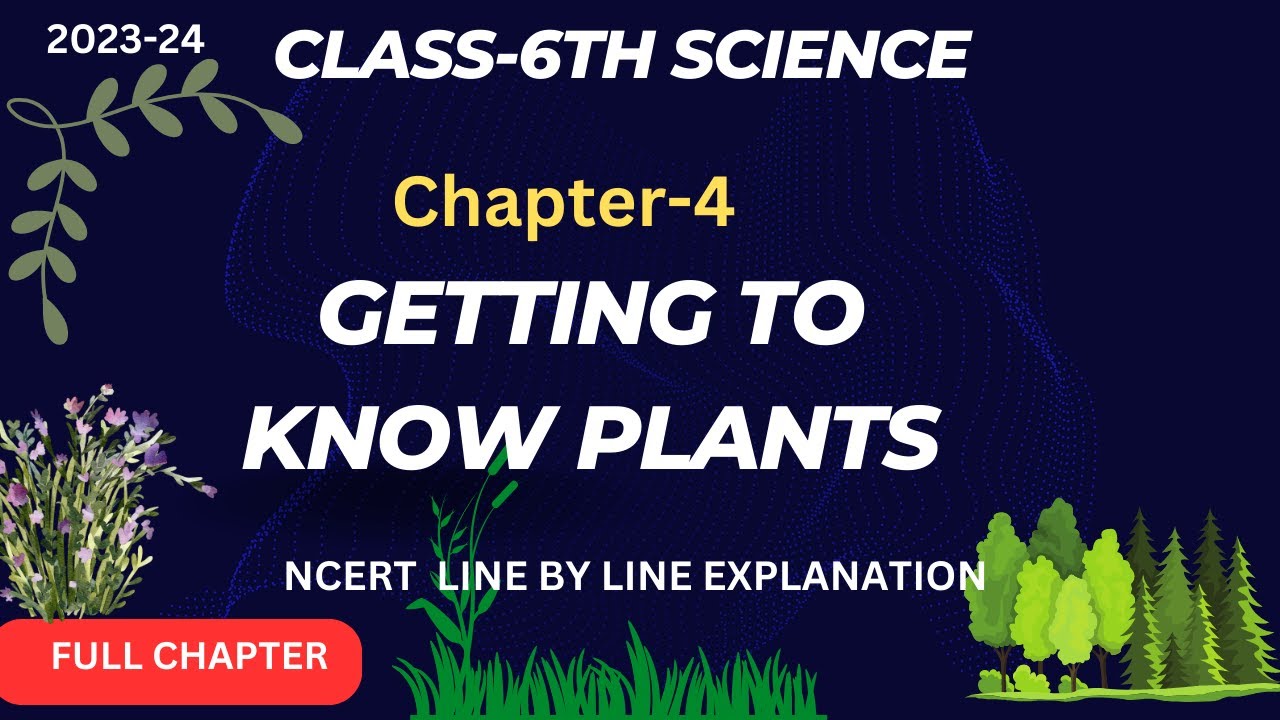 Class 6 Science Chapter 4 I Getting to know plants I Full Chapter line ...