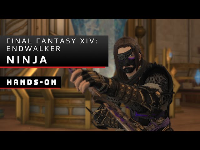 Ninja Fantasy Team Ninja Is Working On "A Lot Of New Titles," Confirms