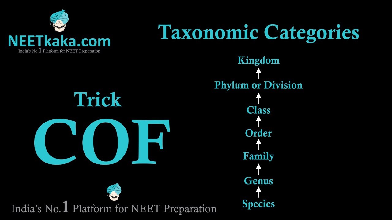 Trick of Taxonomic Categories| याद करे चुटकियों में | - YouTube