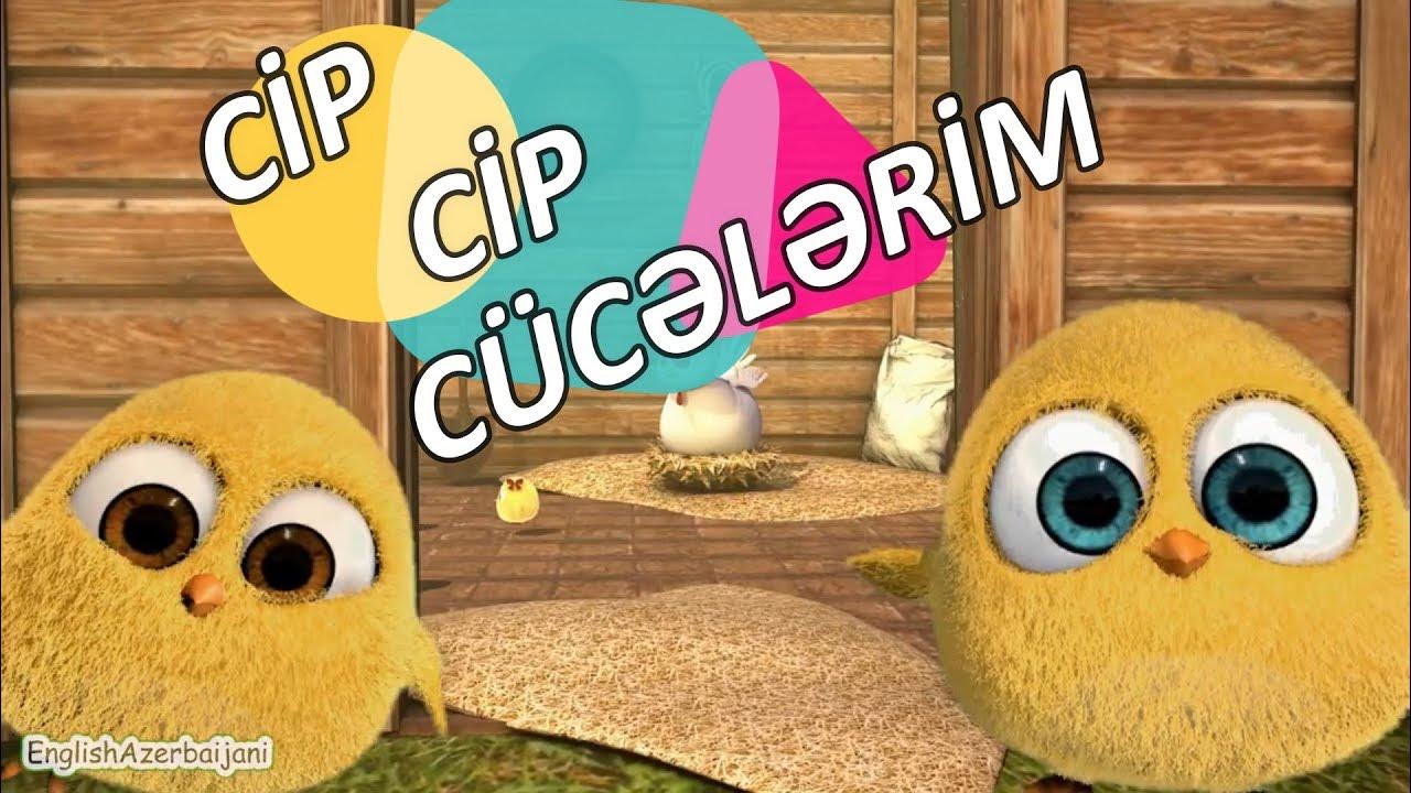 Cip Cip Cucelerim (EnglishAzerbaijani Kanali) - YouTube