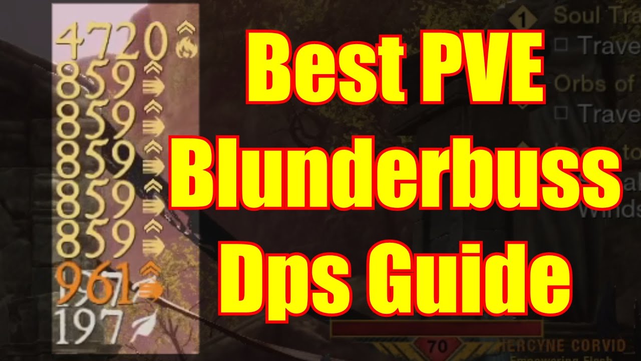 The Best PvE Blunderbuss Meta Build Guide for New World: Aeternum 🚀🔥 ...