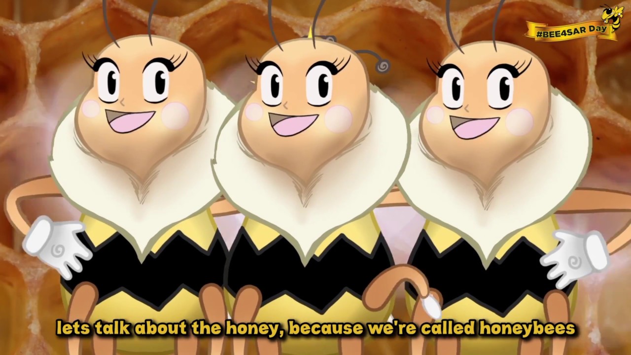 #BEE4SAR Day 2017: The World of Honey Bees by Rabbi Daniel Senter - YouTube