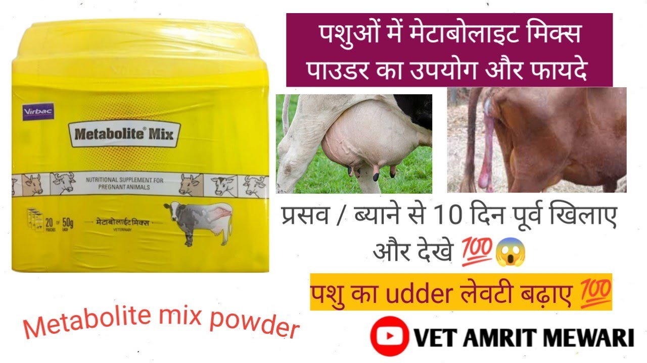 Metabolite Mix Powder | Nutritional supplement for pregnant Animal |पशु ...