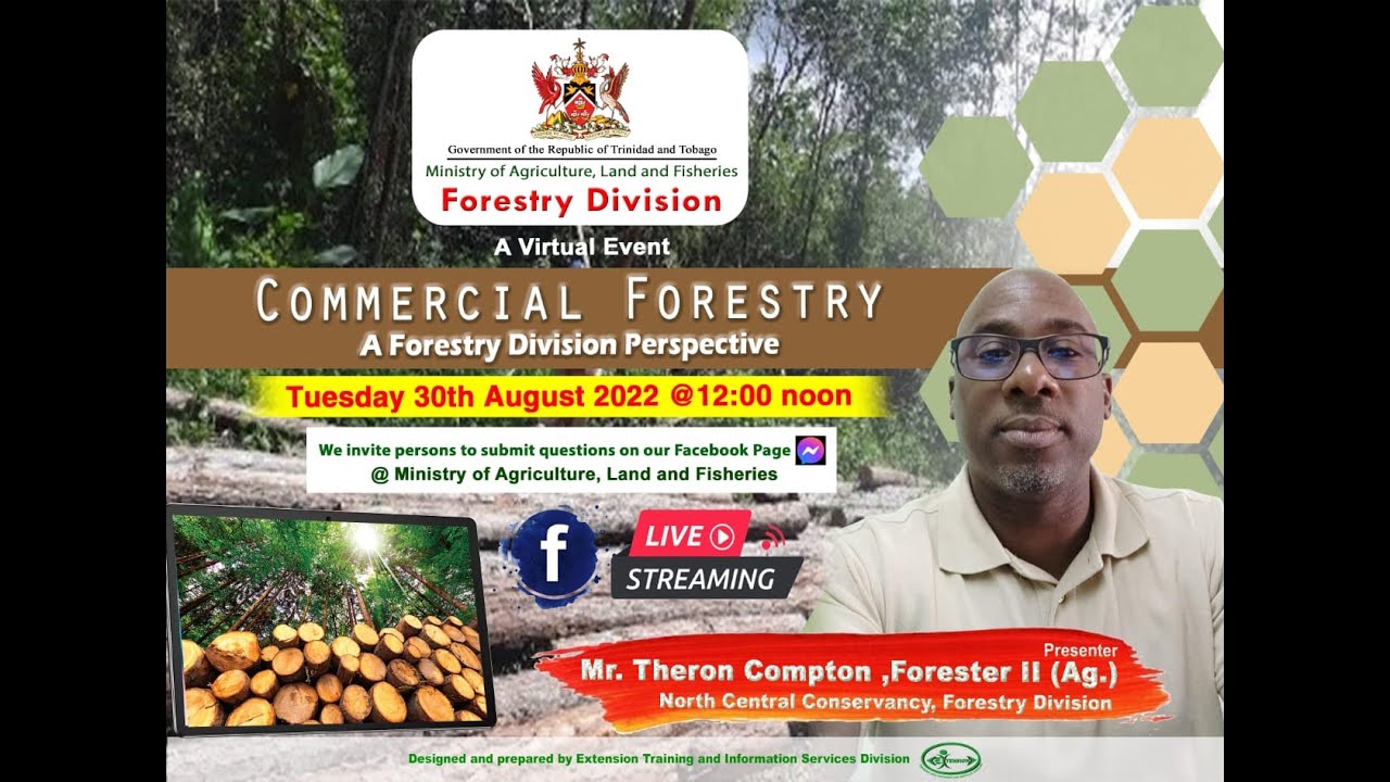 Forestry Division: Commercial Forestry - A Forestry Division ...