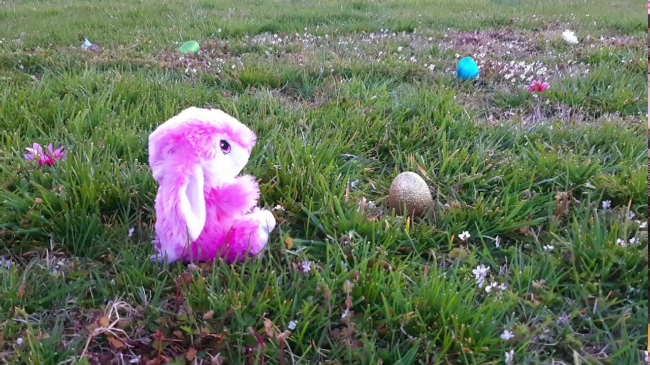 Easter eggs| huevos de Pascua| Conejitos de Pascua| Easter Bunnies ...