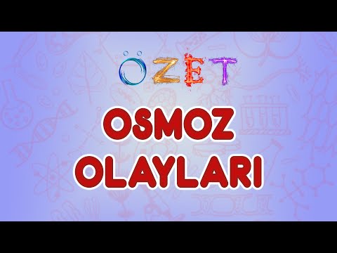 Osmoz Olayları / Özet