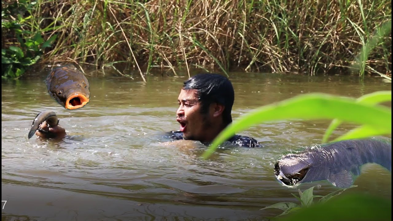 Wow Amazing Man Diving Catch Fish In The Canal Catch And Cook Eating ...