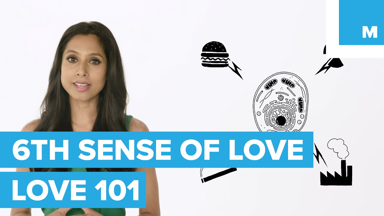 Sixth Sense of Attraction | Love 101 - YouTube