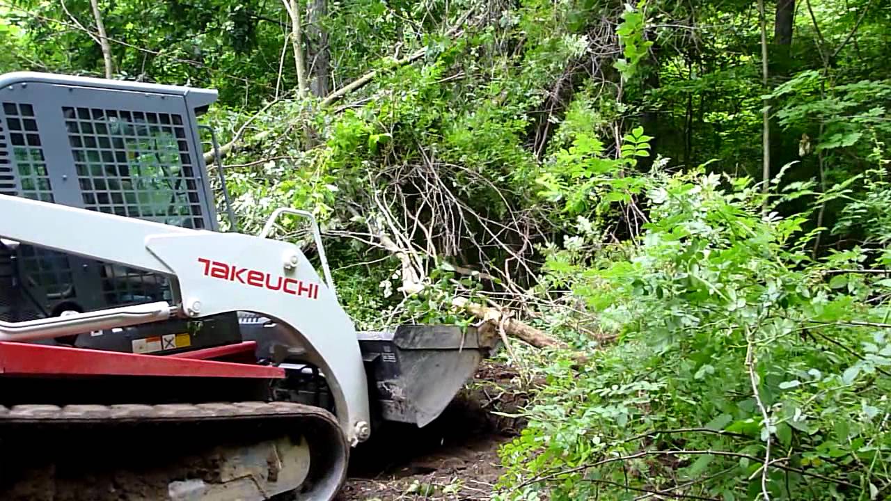 Takeuchi TL 240 Pushing Over Trees - YouTube