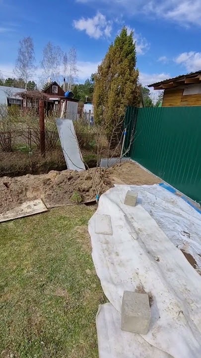 Как защитить газон от сорняков #садовыерастения #дача #сорнякинагазоне ...
