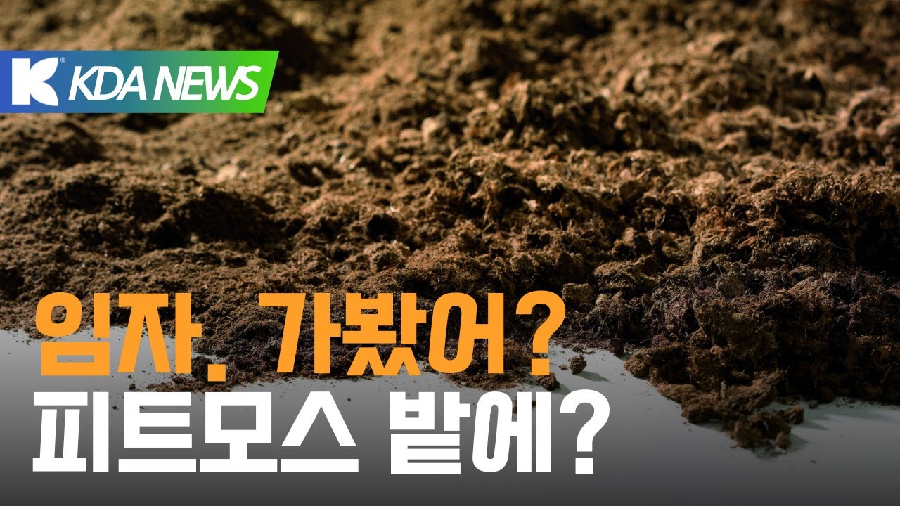 임자 가봤어 피트모스 밭에 우리는 세계 1위 클라스만 데일만 피트모스 생산 현장 방문 세계 1위 단일 면적 생산량 상토 공장 영상 리투아니아 클라스만