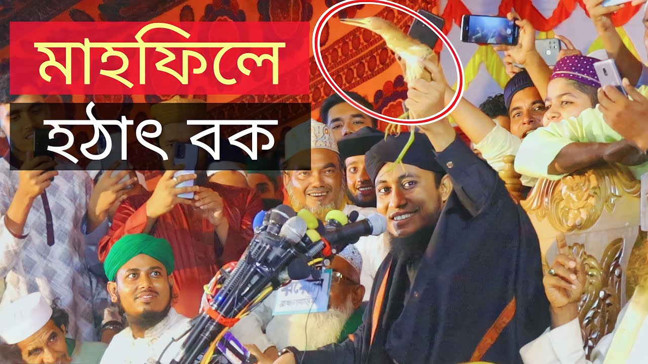 মাহফিলে হটাৎ বক এসে তাহেরী হুজুরের হাতে পড়লো | Love We Islam - YouTube