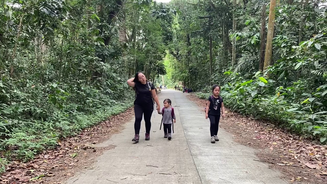 Mt Makiling Flat Rocks Trekking With Kids - YouTube