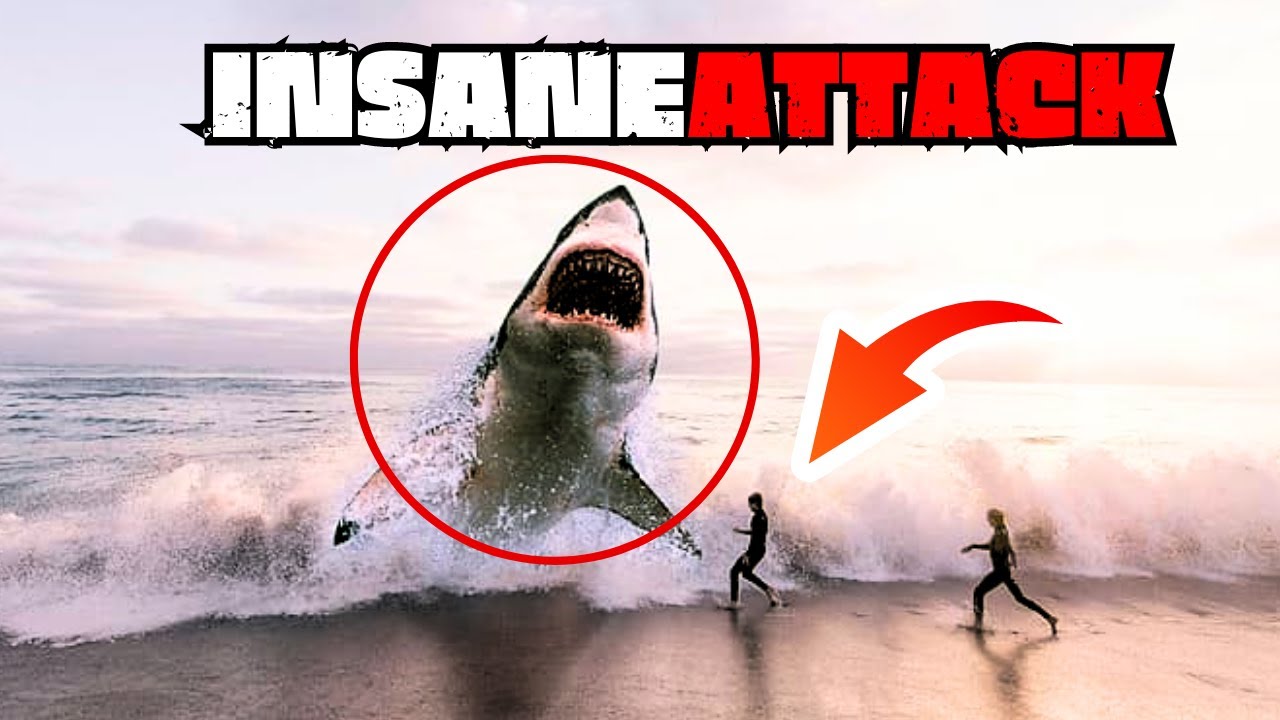 FEARLESS Sharks Tore Helpless Tourists to Pieces - YouTube