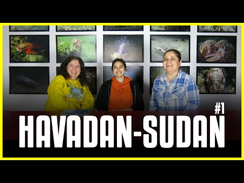 HAVADAN-SUDAN SOHBETLER #1: ISLAK ŞAKALAR, KORONA VİRÜS GELDİ, NETFLİX