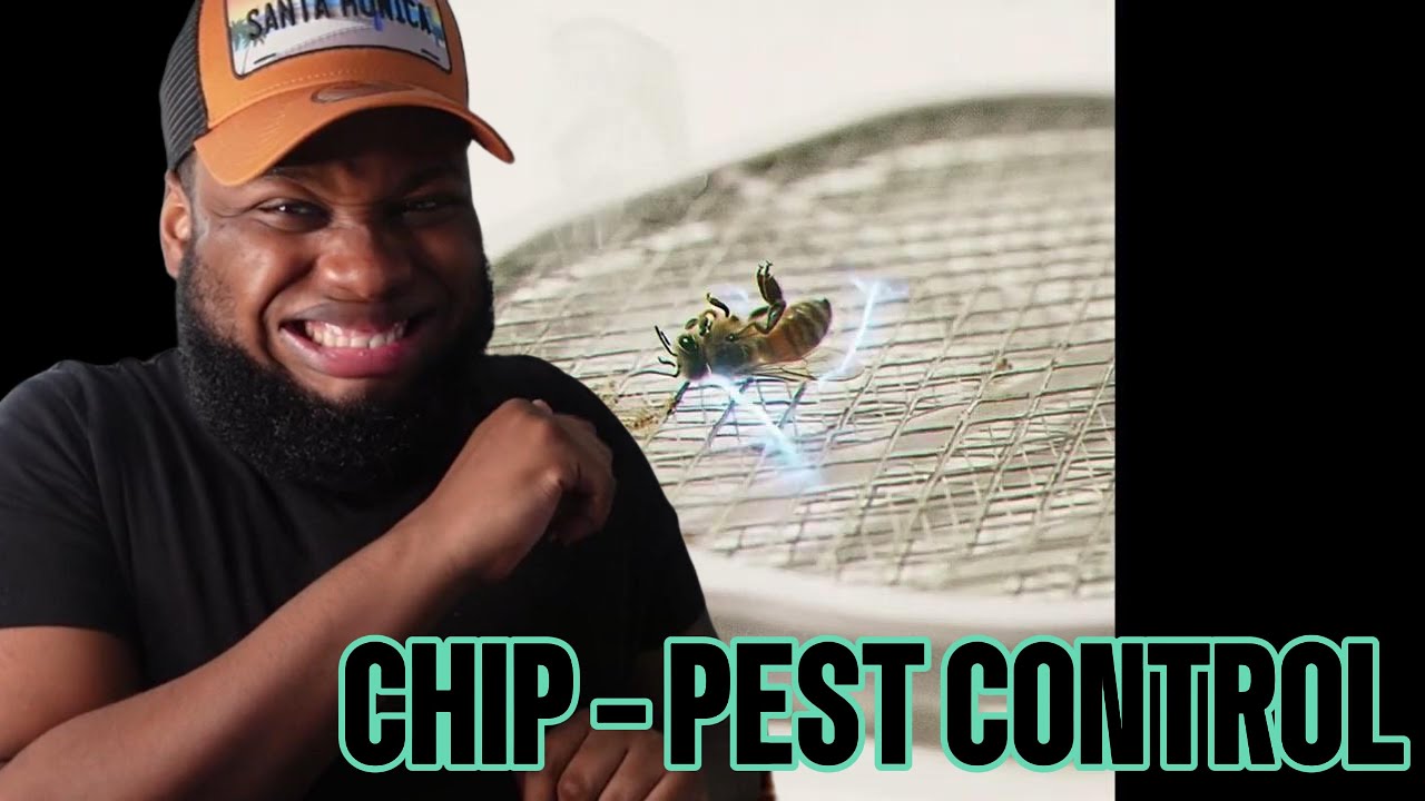 Chip – Pest Control (Diss Track) | Reaction - YouTube