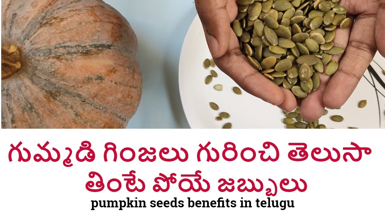 గుమ్మడి గింజలు రోజు తింటే పోయే జబ్బులు ||gummadi ginjalu uses in telugu ...