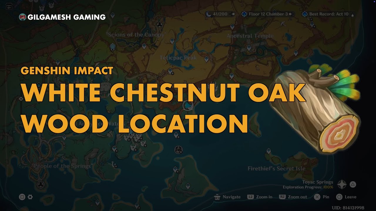 White Chestnut Oak Wood Farming Route | Genshin Impact Natlan - YouTube