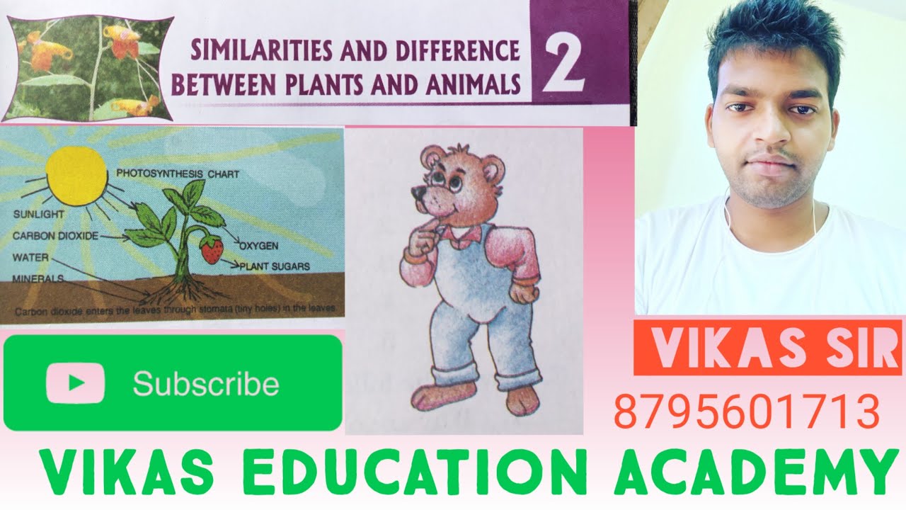 Difference and similarities between plants and animal chapter 2 class 5 ...