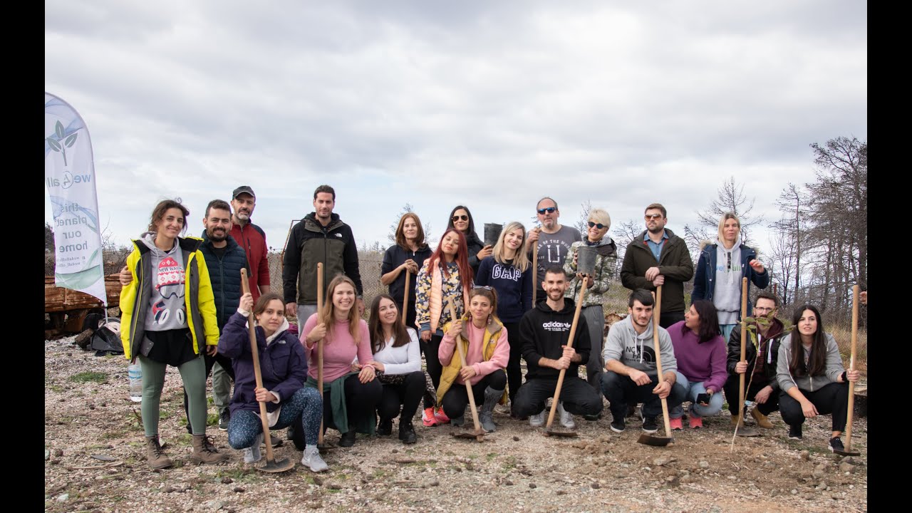 Reforestation in the region of Northern Evia - YouTube