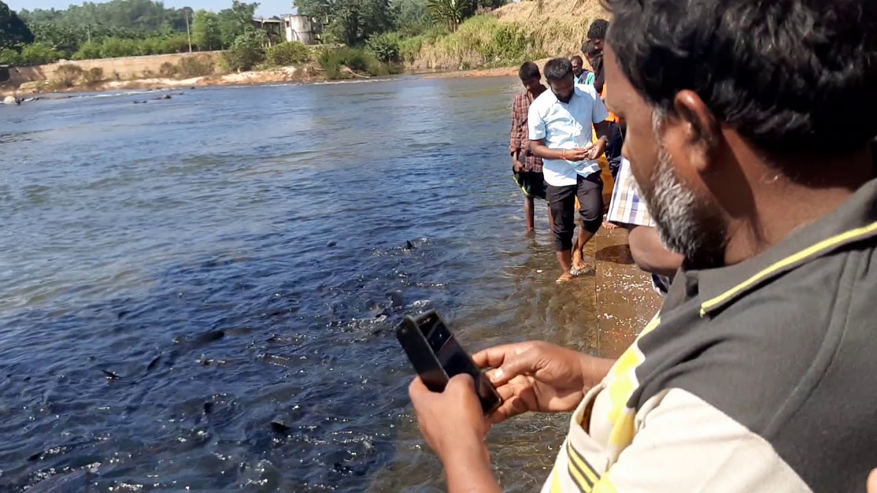 2020 jan sabharimalatrip.pic sringeri fish - YouTube