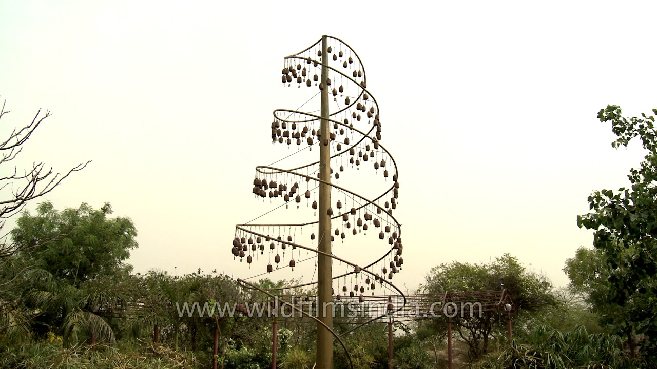 garden-of-five-senses-in-saket-delhi-youtube