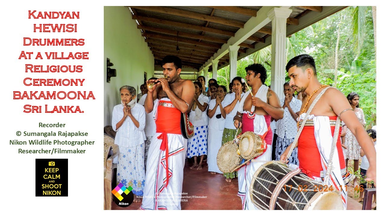 Traditional Drummers at a Religious Function - Bakamoona, Sri Lanka ...