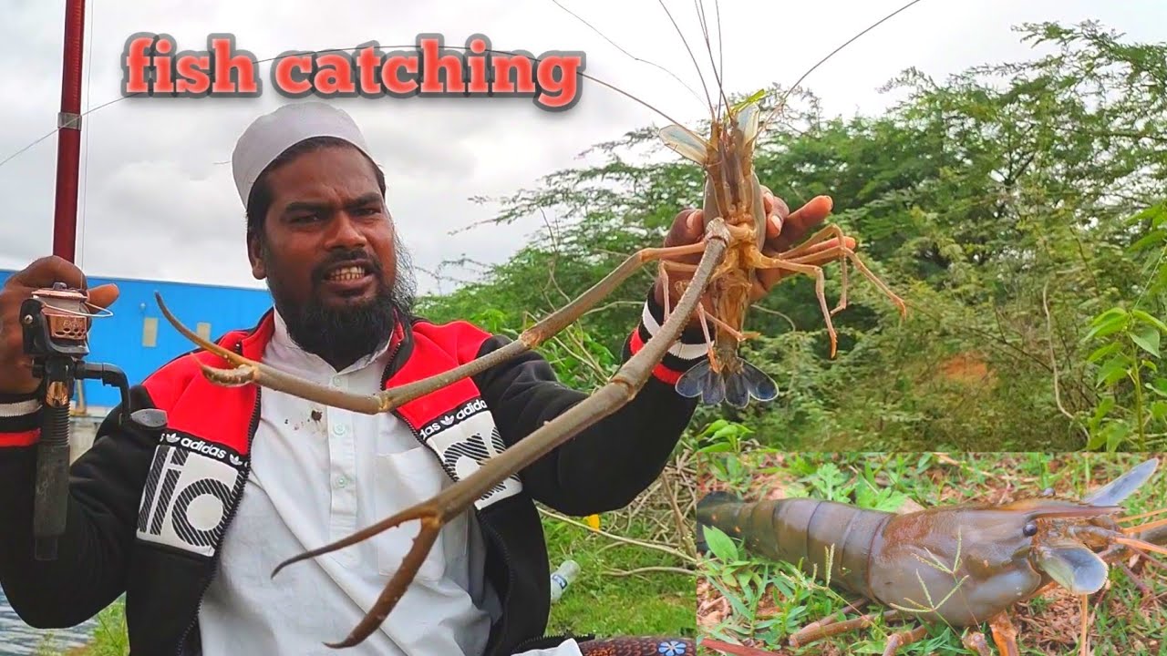 GIANT RIVER PRAWN FISHING 🦐|| AHTESHAM KHAN FISHING 🎣 - YouTube