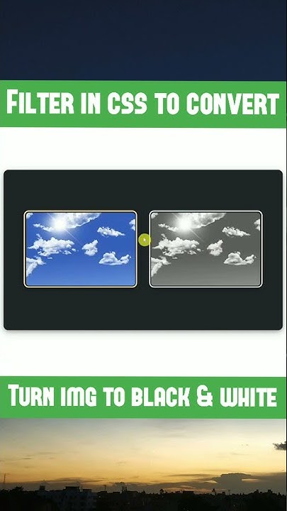 How turn a image into black and white css filter property #css #shorts ...