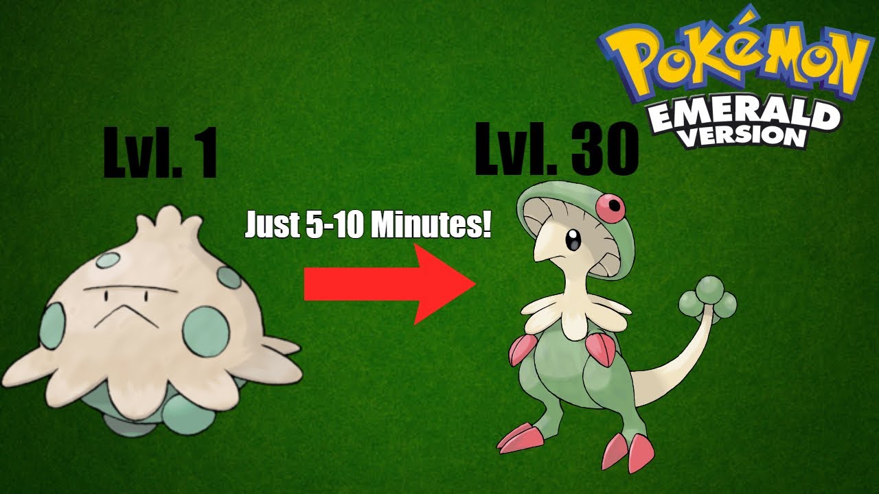 How to Gain Exp FAST (Pokemon Emerald Version) *Updated Version* - YouTube