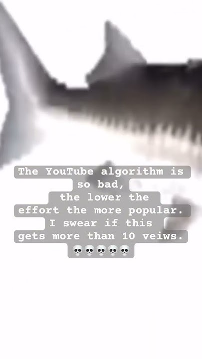 It makes no sense 😭💀 #algorithm #funny #frustration - YouTube