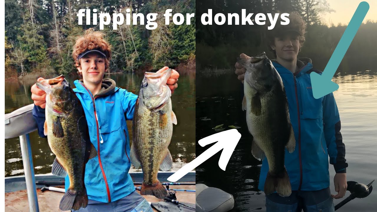 How to catch your new pb! flipping for bass {beaver lake victoria ...