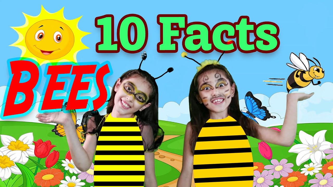 Top Bee Facts for Kids | Facts about Honey Bees | Bee Facts for Kids ...