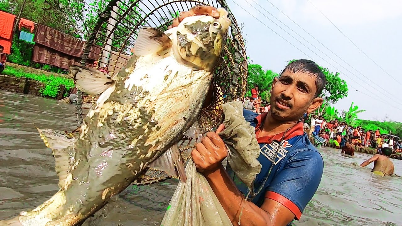 Awesome Quickly Fishing | Real Amazing Big Fish Hunting. - YouTube