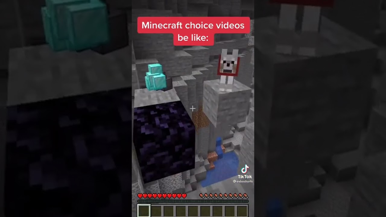 evbo minecraft choice videos be like😅😅🤣🤣🤣😂#shorts #evbo - YouTube