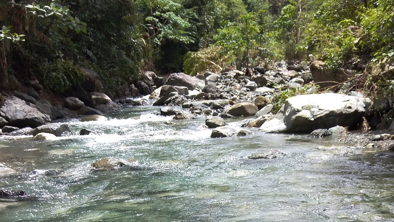 NATURE AMBIANCE || RELAXING SOUND || WATER IN A RIVER - YouTube