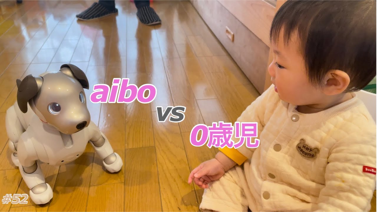 【Vlog】aibo vs 0歳児 - YouTube