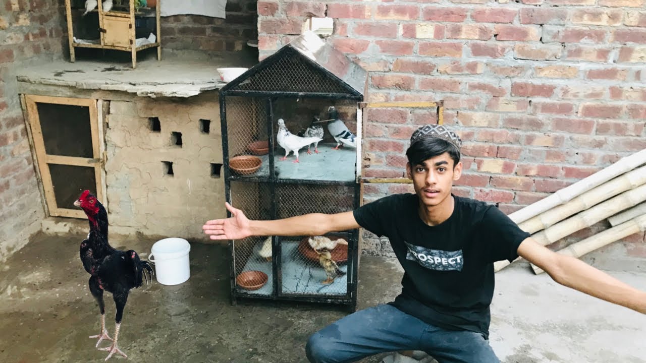 Finally i am back 😍|subhanyt #newvideo - YouTube