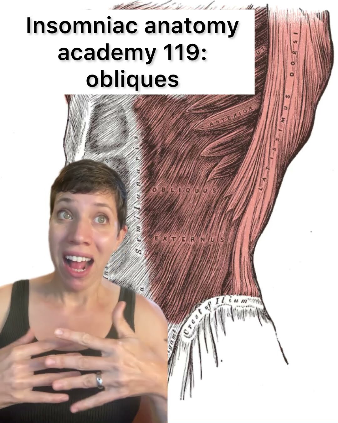 Insomniac anatomy academy 119: obliques #science #stem #medicine #stemeducation #anatomy - YouTube