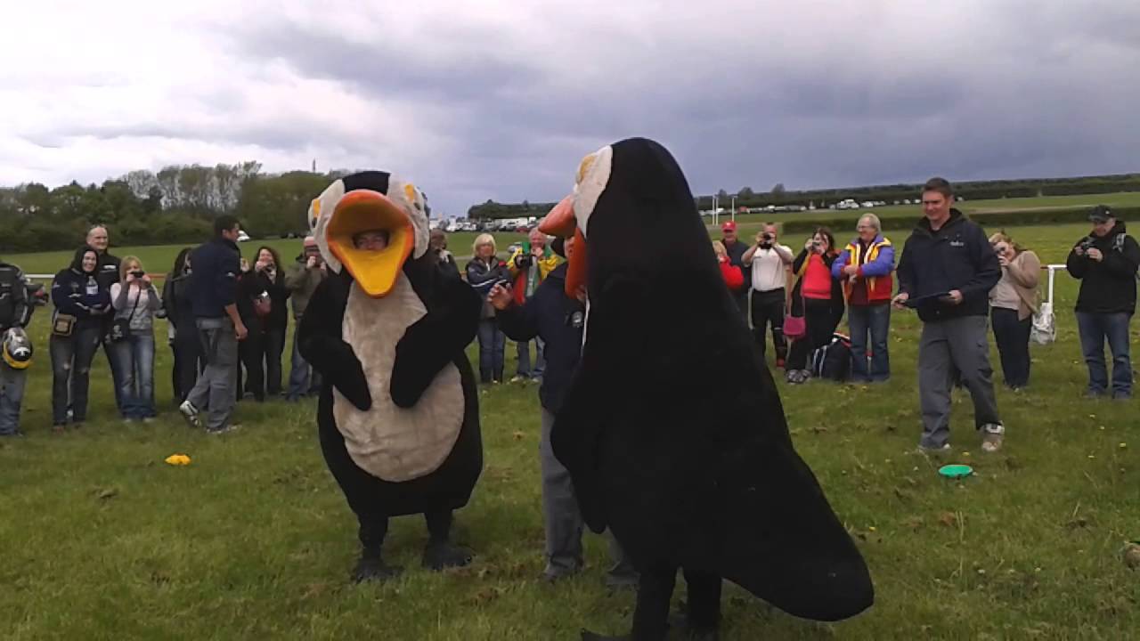 Penguin fight - YouTube