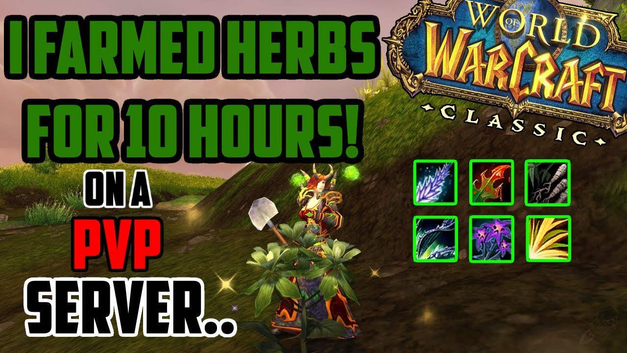 I Farmed Herbs for 10 Hours on a PvP Server in Classic WoW - YouTube