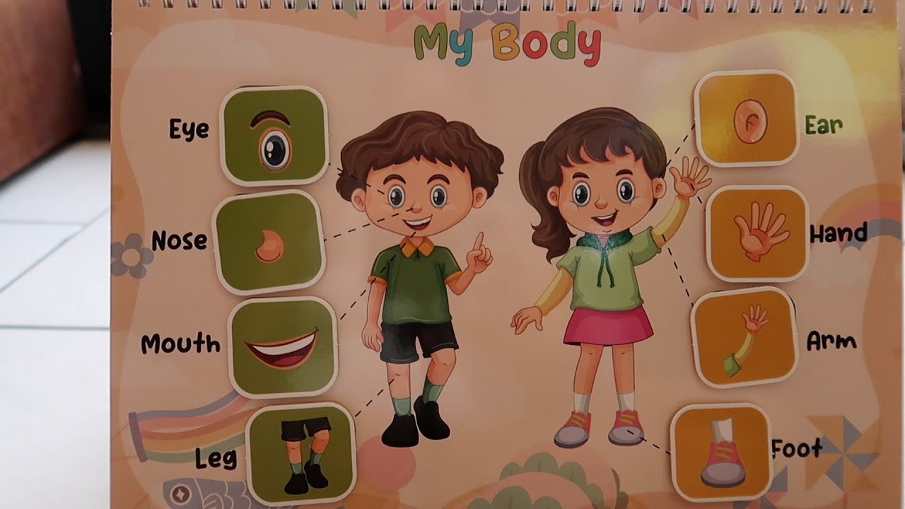 Learn Parts of the Body | Educational Videos for Kids - YouTube