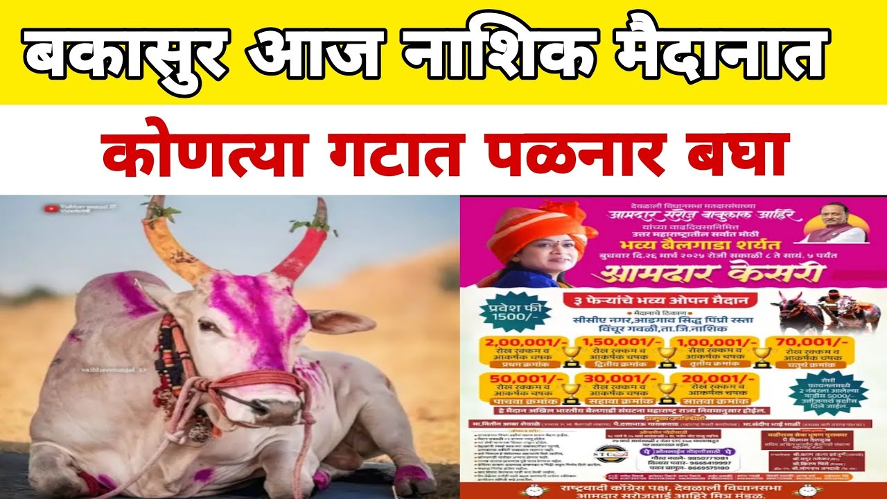 बकासुर आज नाशिक मैदानात कोणत्या गटात पळनार बघा #बकासुर #बकासुर6300 # ...